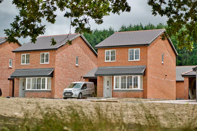 Case Studies, Helping Businesses Like Yours - Dev Bank